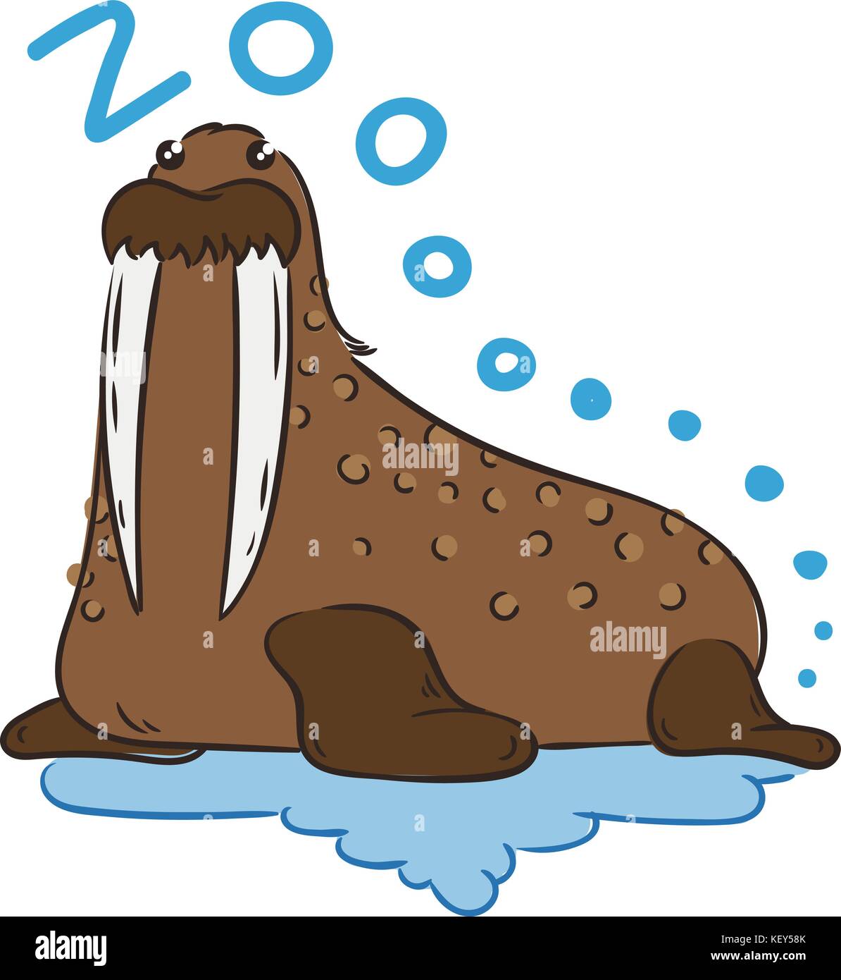 Illustration of doodle cute walrus, hand drawn graphic. Vector cartoon ...