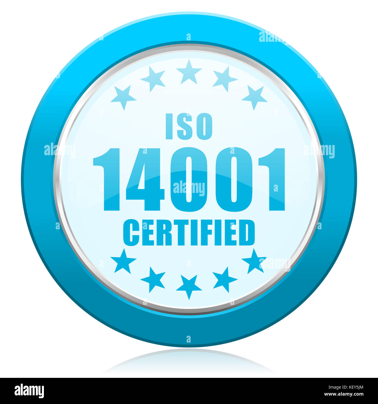 Official Iso 14001 Logo