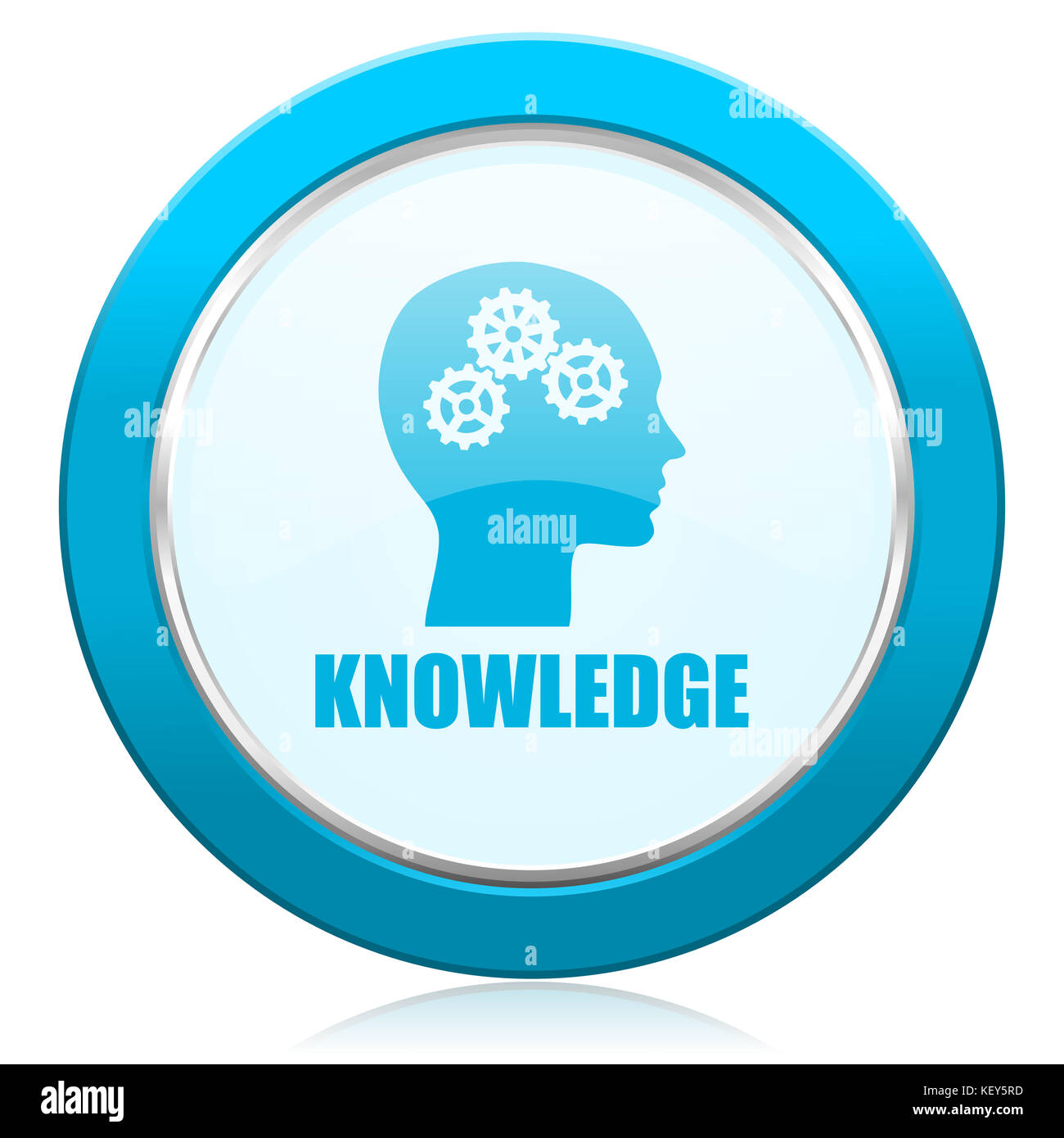 Knowledge blue chrome silver metallic border web icon. Round button for ...