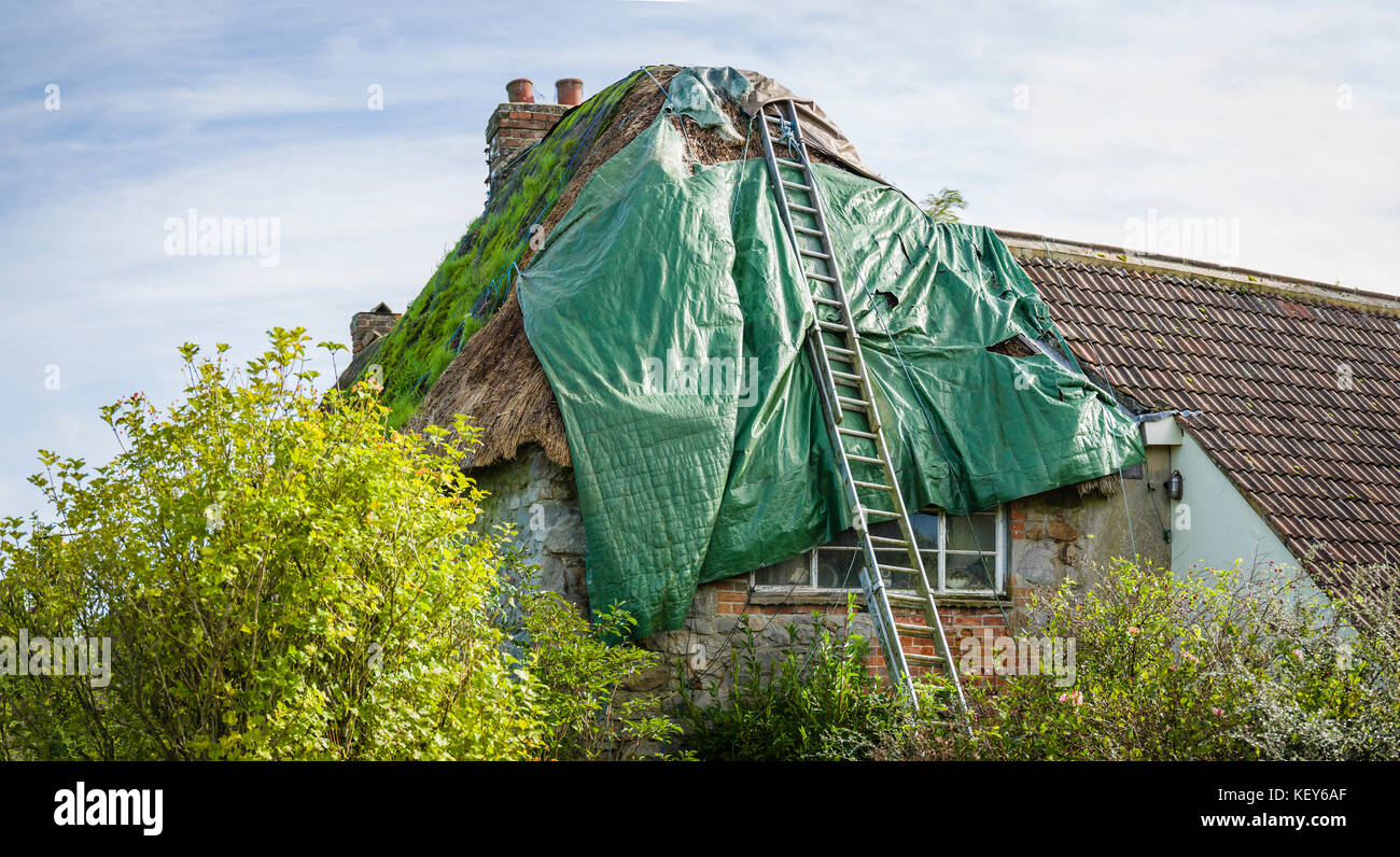 Repairing thatched roof hi-res stock photography and images - Alamy