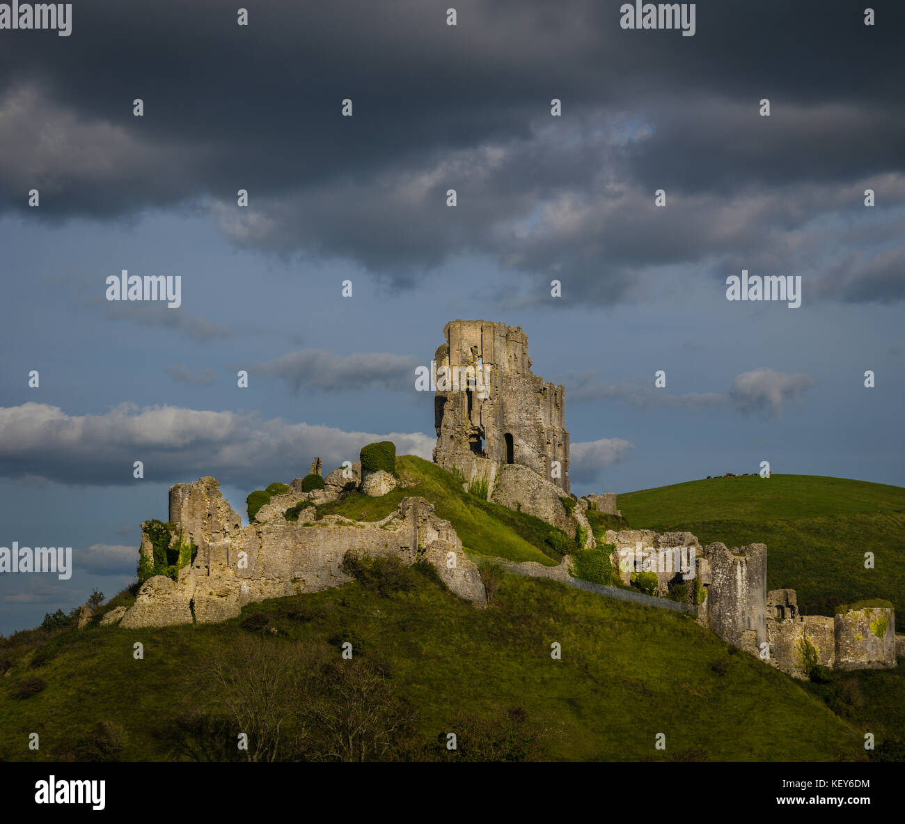Corfe Castle, Dorset Stock Photo - Alamy