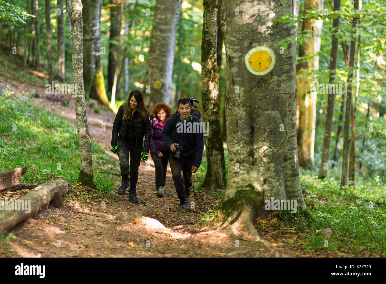 Group of tourists with backpacks hiking on a mountain trail Stock Photo ...