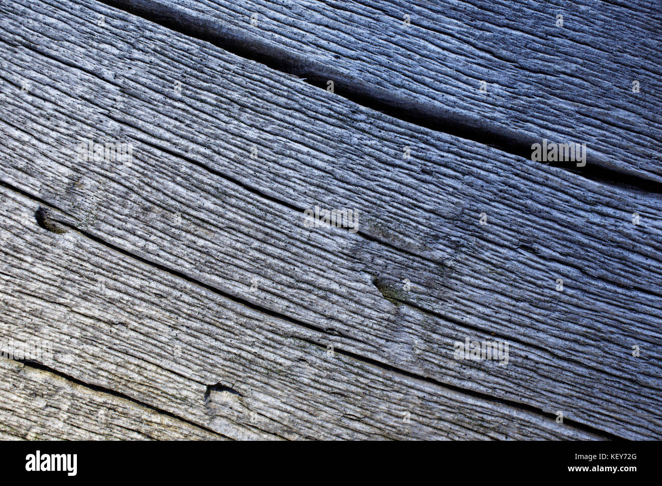 The dry surface of the old crumbling pine tree trunk as the background ...