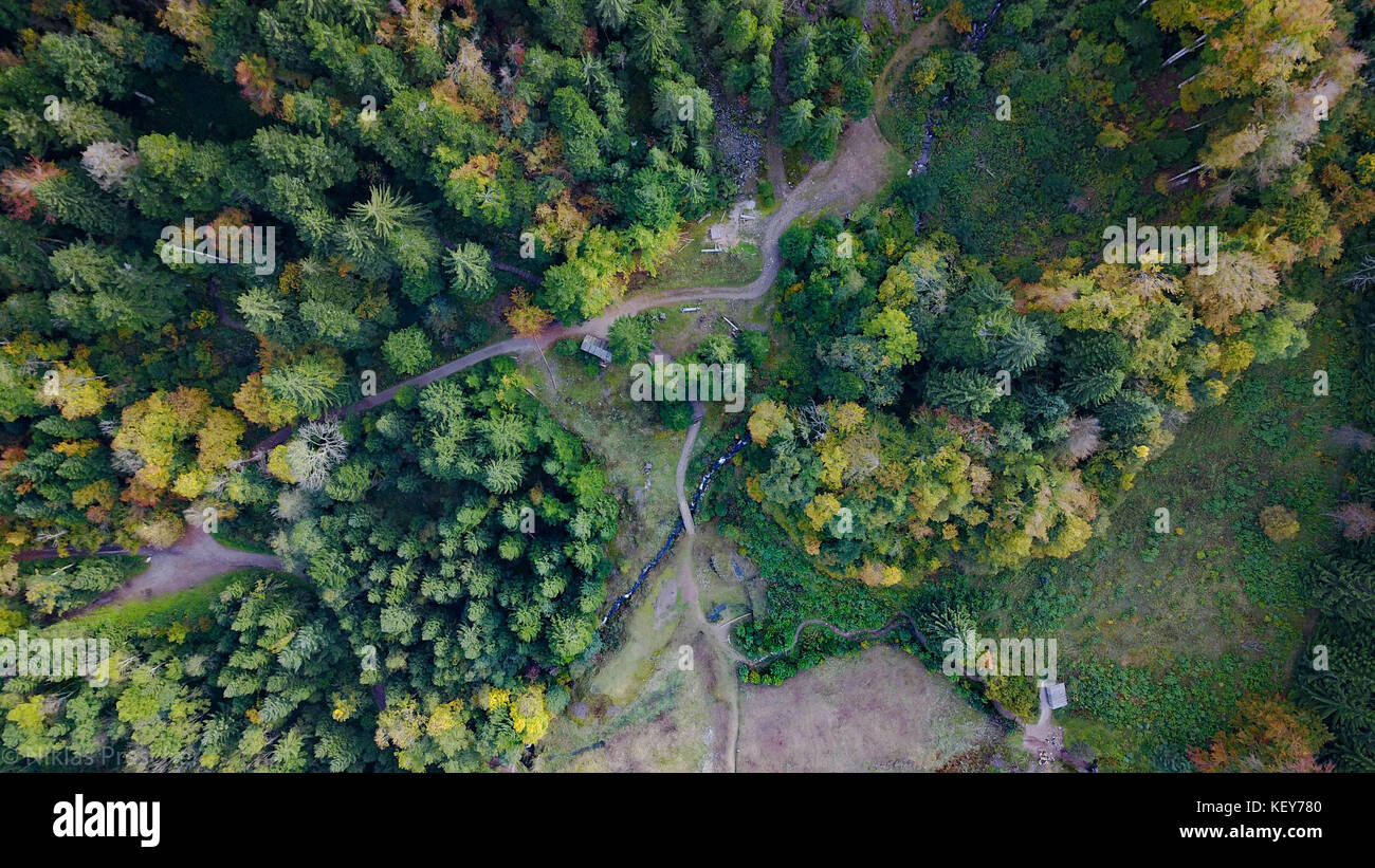 Forest in fall from above Stock Photo - Alamy