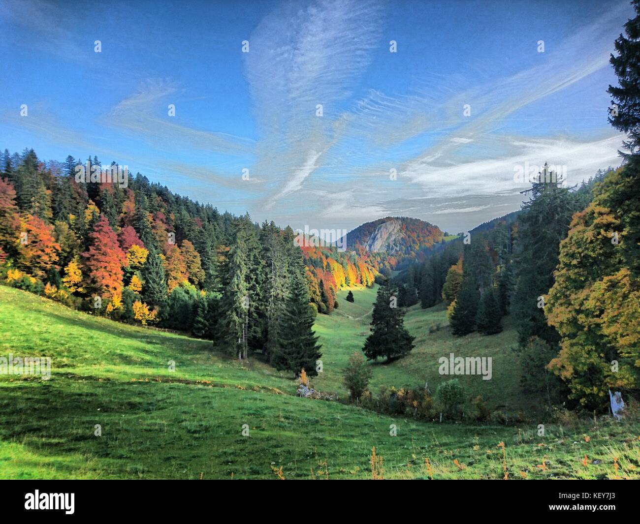 Valley in fall Stock Photo - Alamy