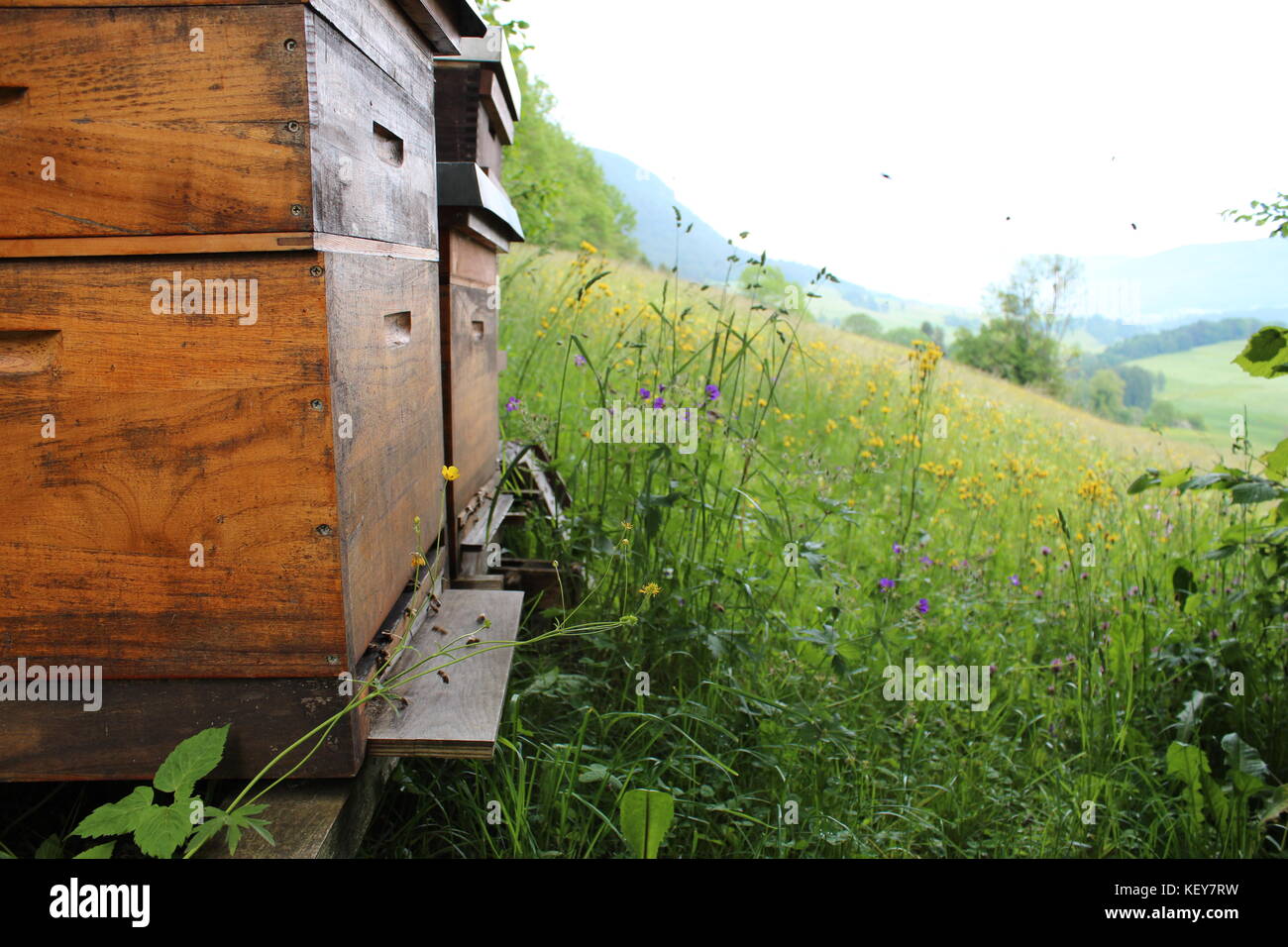 Beehive in an awesome landscape at the swiss mountains Stock Photo - Alamy