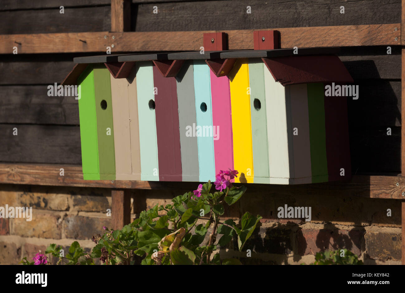 Coloured bird houses Stock Photo - Alamy