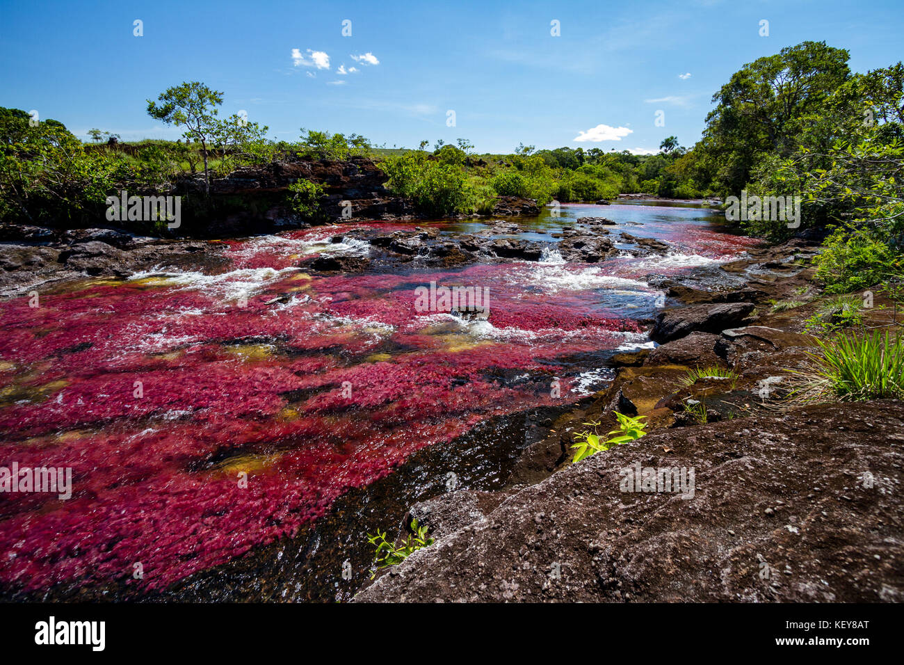 The Liquid Rainbow Stock Photo - Alamy