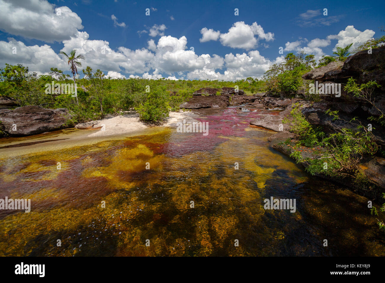 The Liquid Rainbow Stock Photo - Alamy