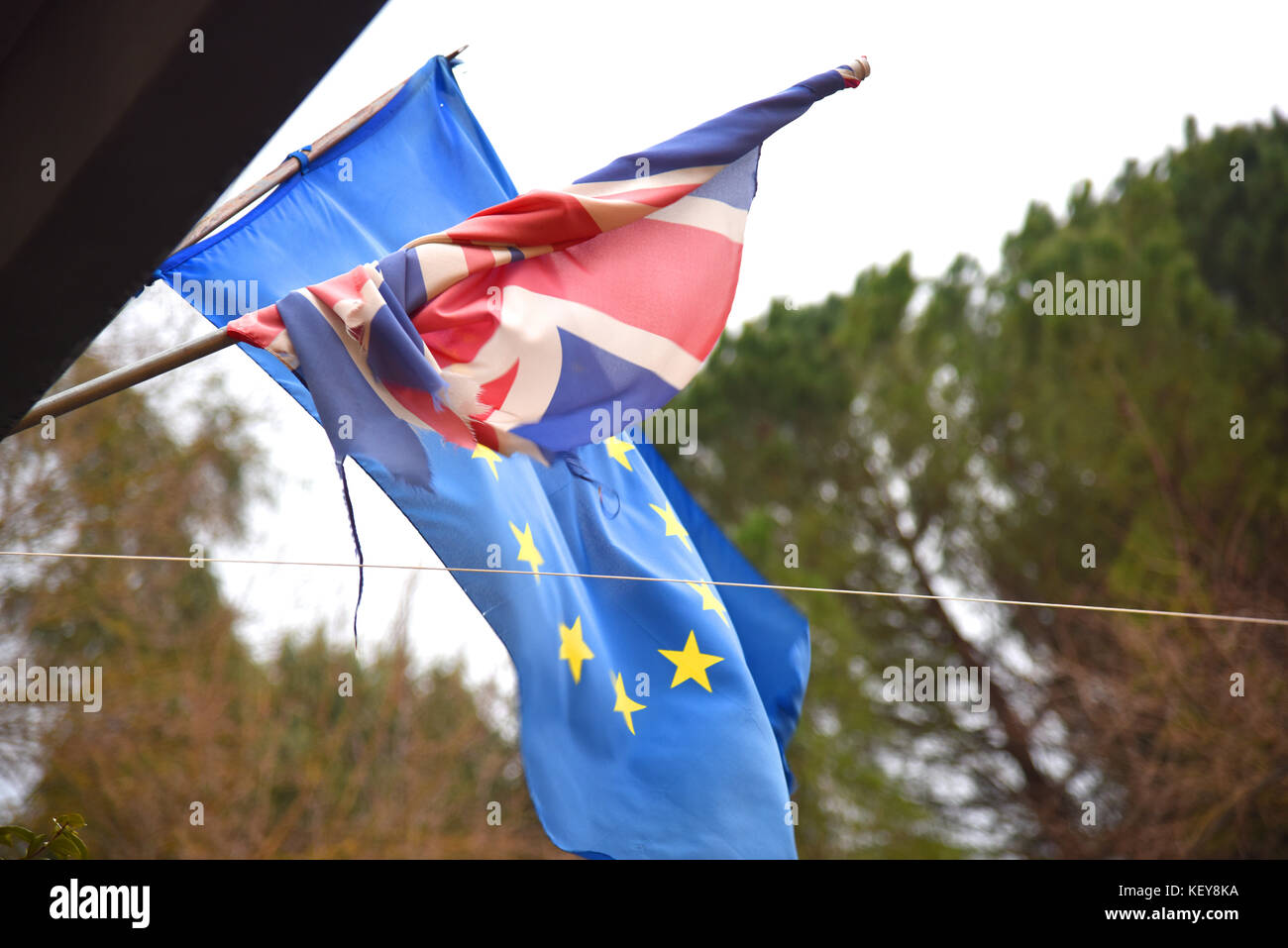 Tangled up hi-res stock photography and images - Alamy