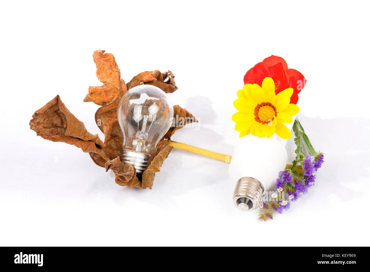 Modern energy saving light bulb and old low-efficiency bulb with ...