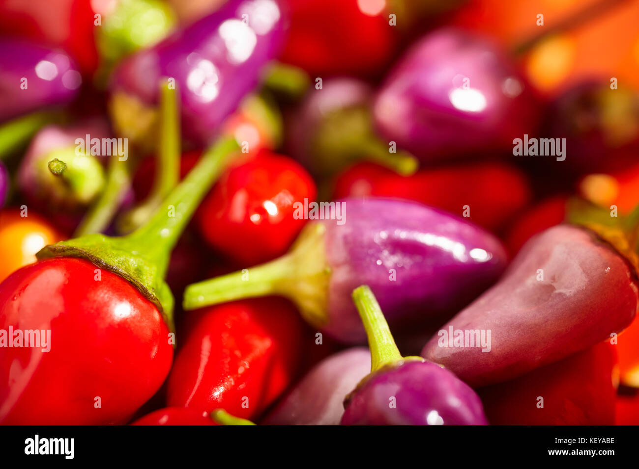 whole, fresh, tiny red and purple hot peppers Stock Photo - Alamy
