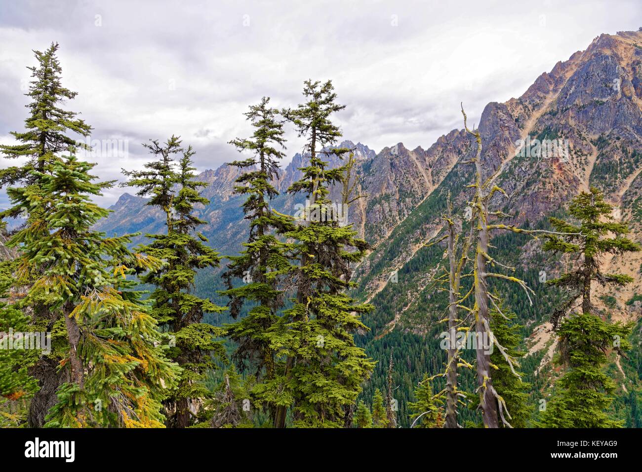 Washington Pass outside North Cascades National Park Stock Photo - Alamy