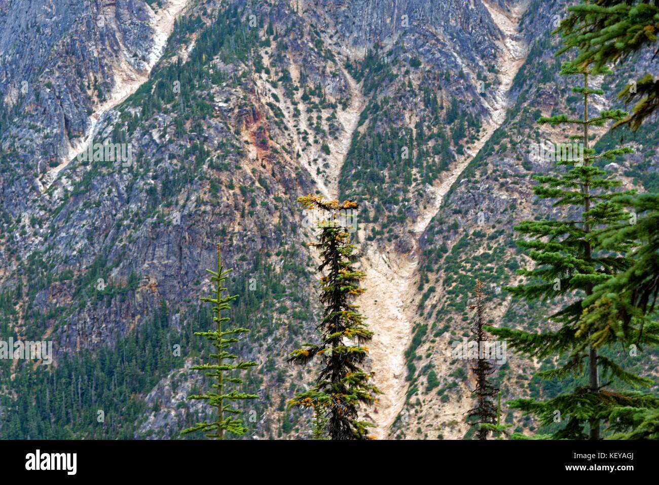 Washington Pass outside North Cascades National Park Stock Photo - Alamy