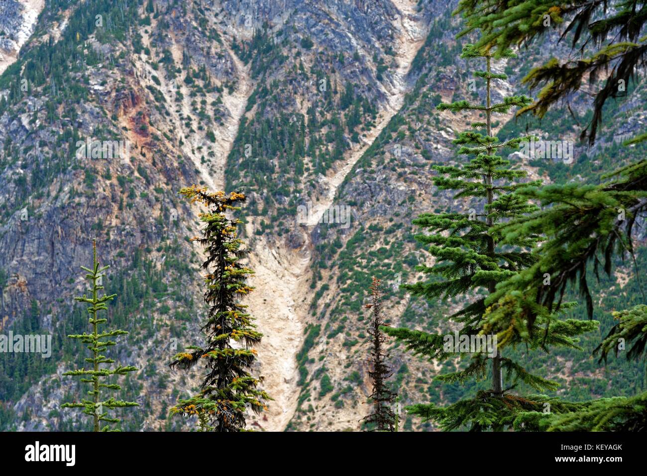 Washington Pass outside North Cascades National Park Stock Photo - Alamy