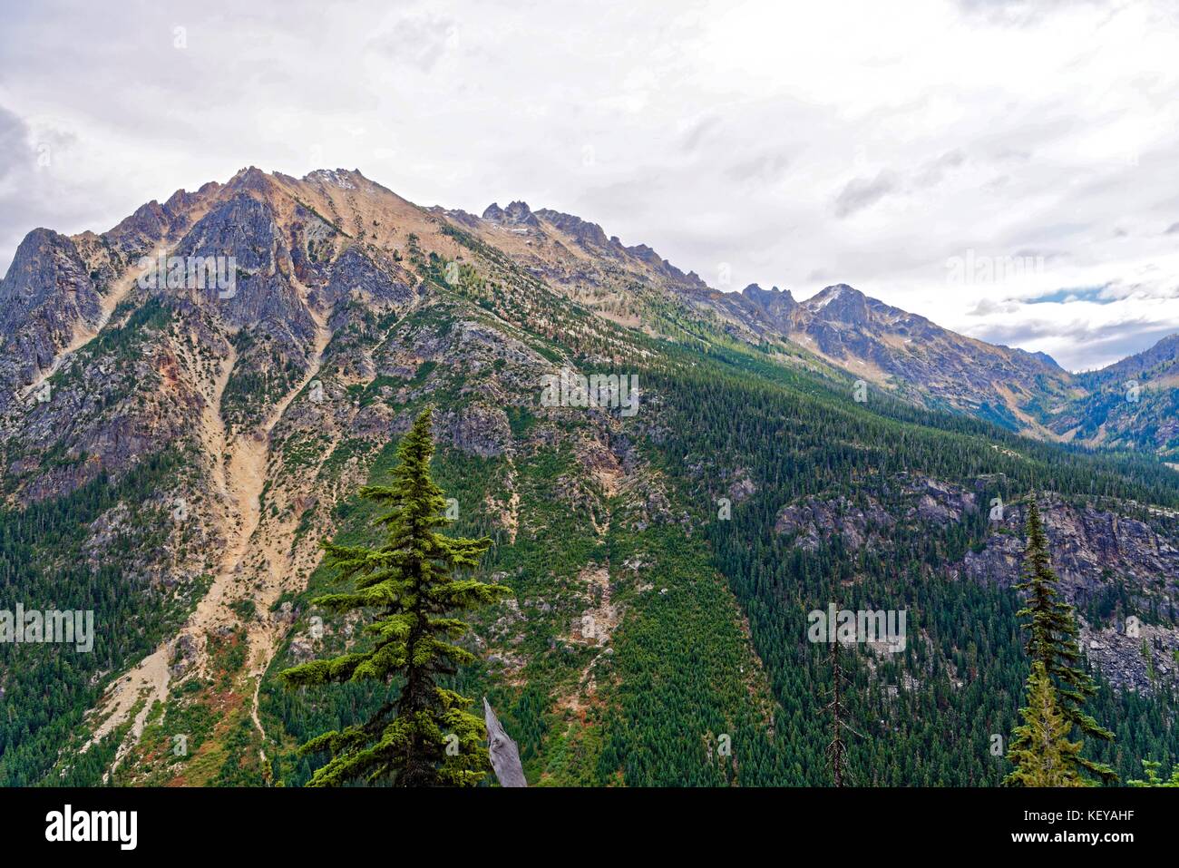 Washington Pass outside North Cascades National Park Stock Photo - Alamy