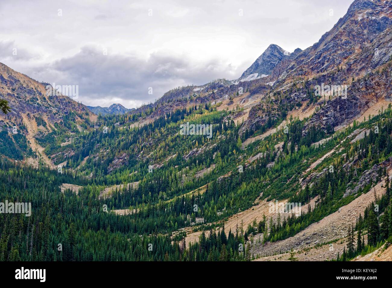Washington Pass outside North Cascades National Park Stock Photo - Alamy