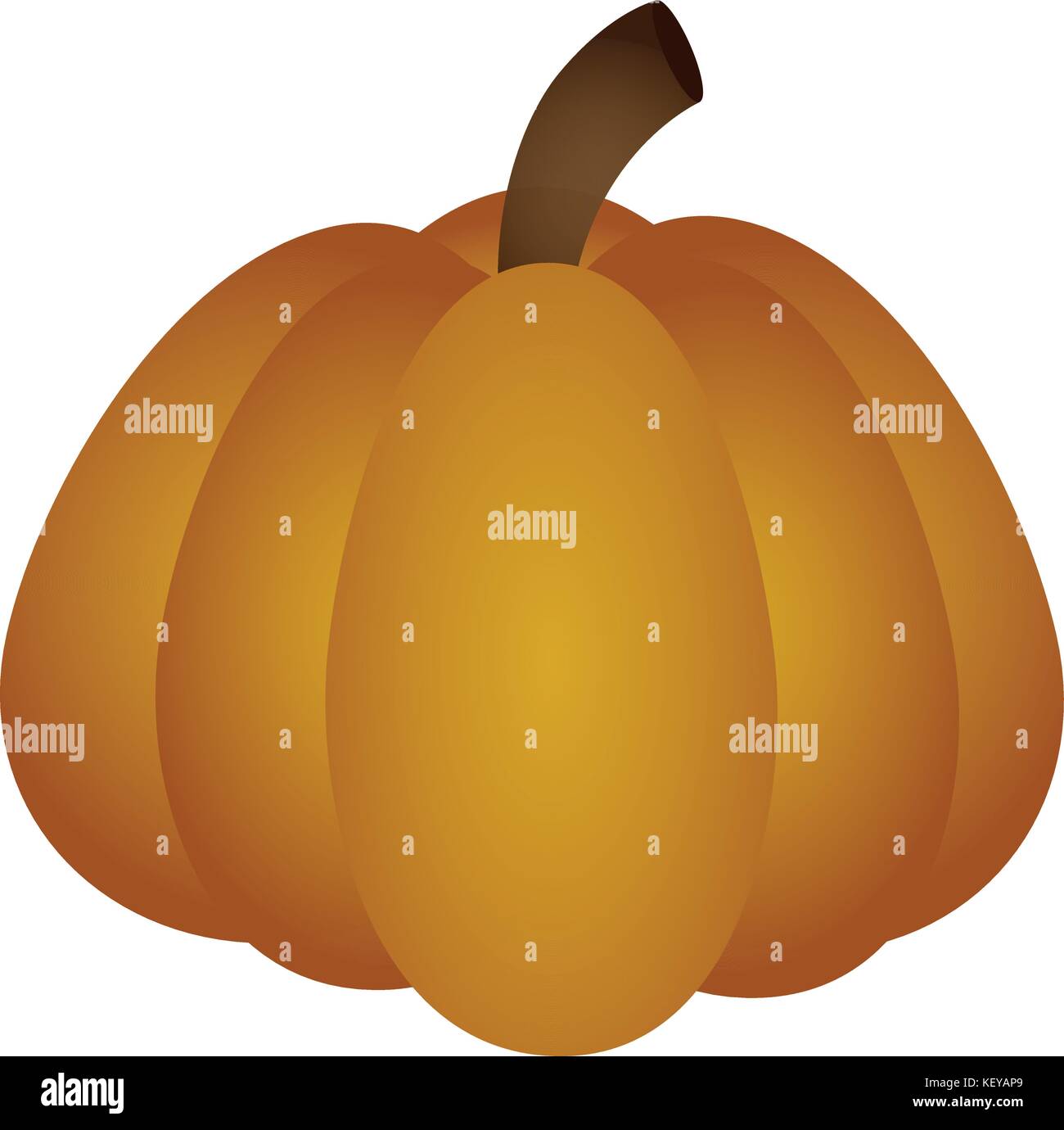 Isolated pumpkin illustration Stock Vector Image & Art - Alamy