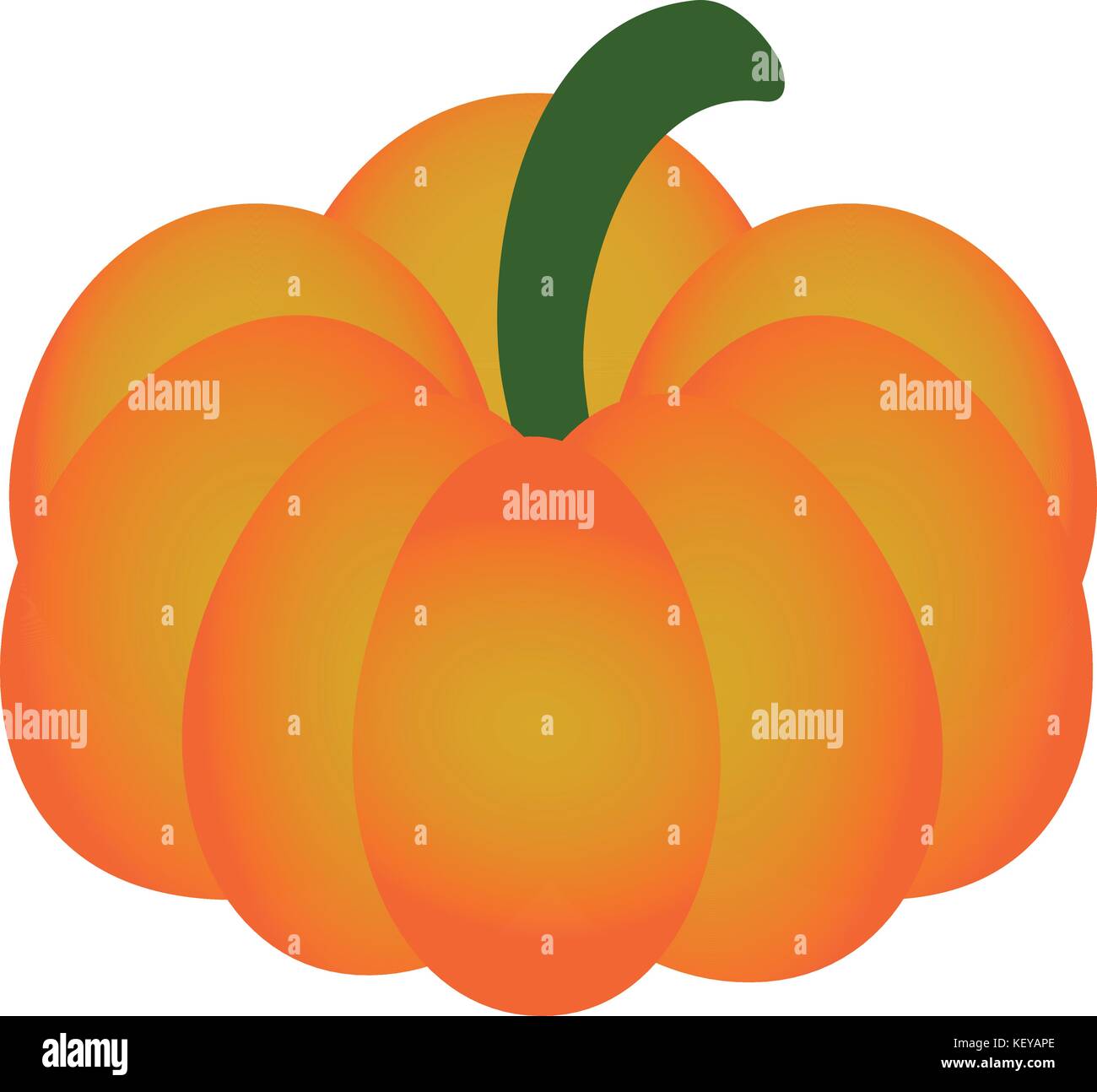 Isolated pumpkin illustration Stock Vector Image & Art - Alamy