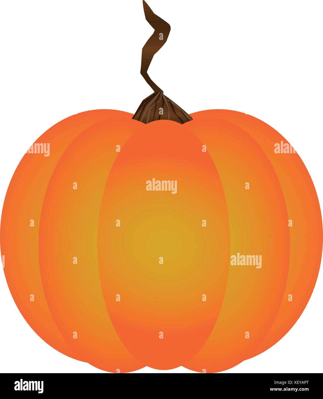 Isolated pumpkin illustration Stock Vector Image & Art - Alamy