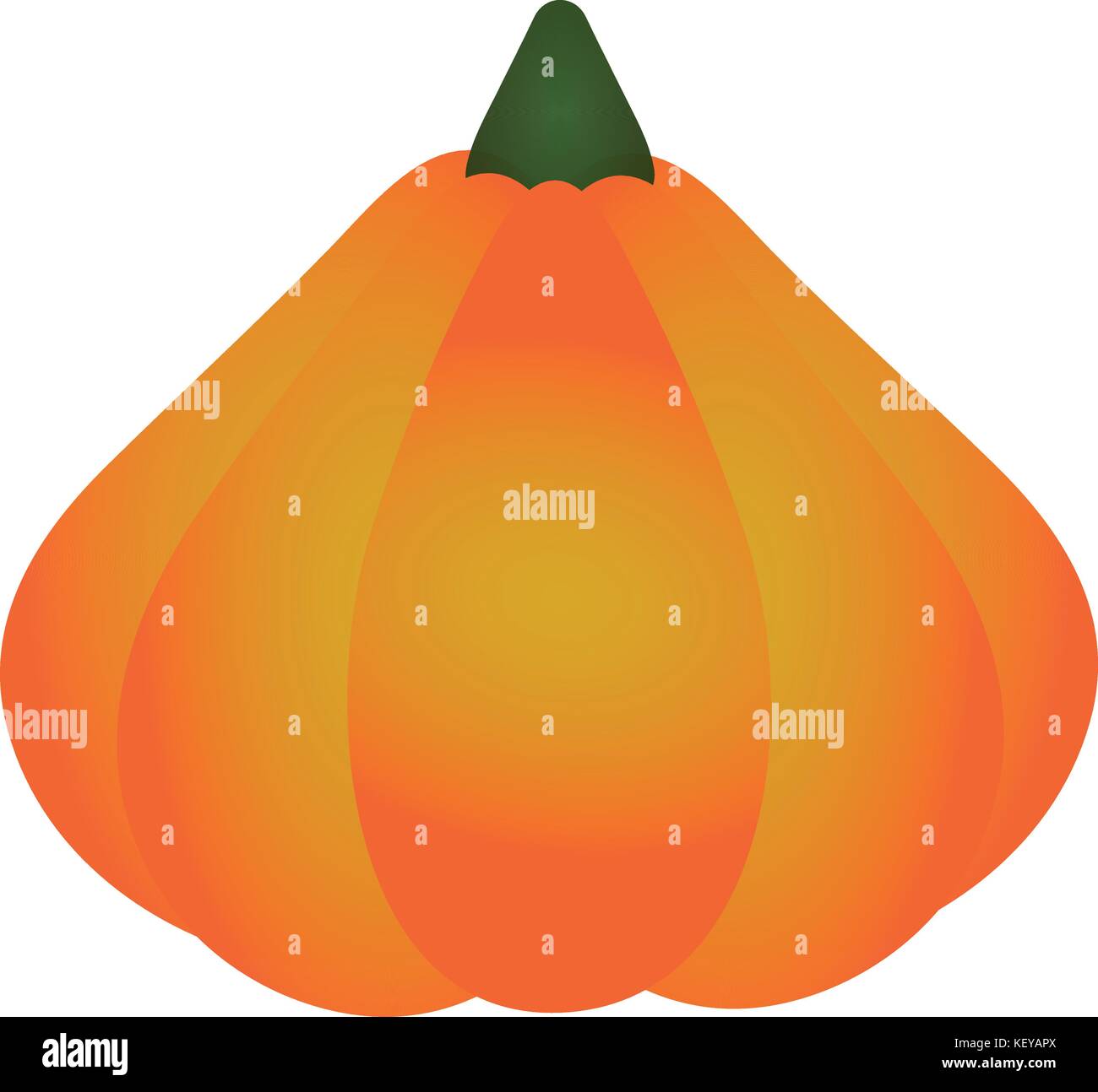 Isolated pumpkin illustration Stock Vector Image & Art - Alamy