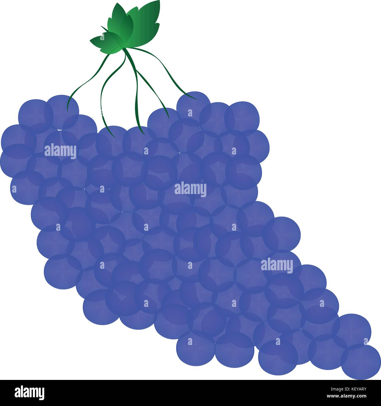 Isolated grapes illustration Stock Vector Image & Art - Alamy