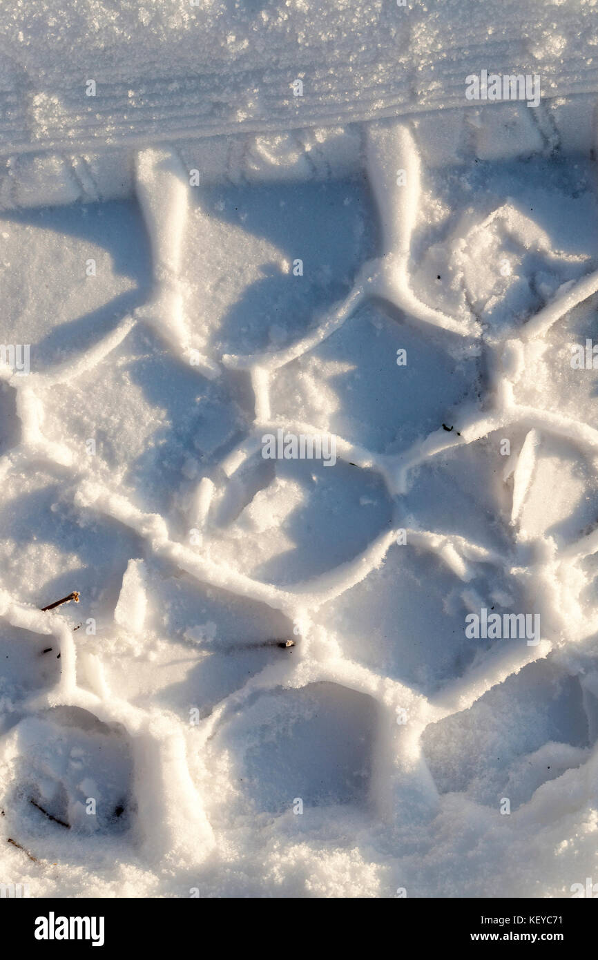 cells in the snow Stock Photo - Alamy