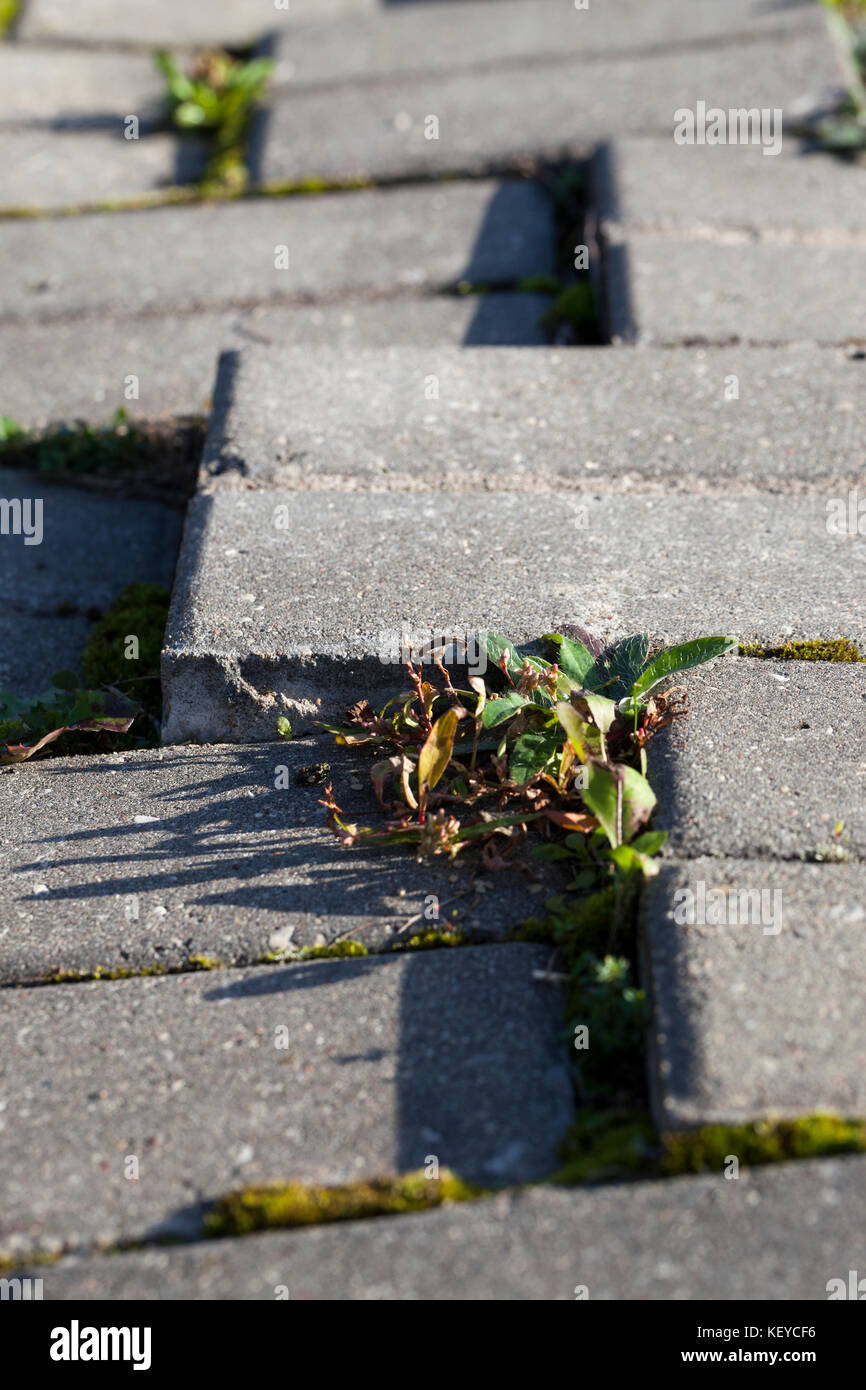 Cracked floor tiles hi-res stock photography and images - Alamy