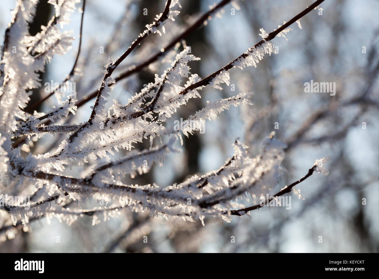 glowing crystals frost Stock Photo - Alamy