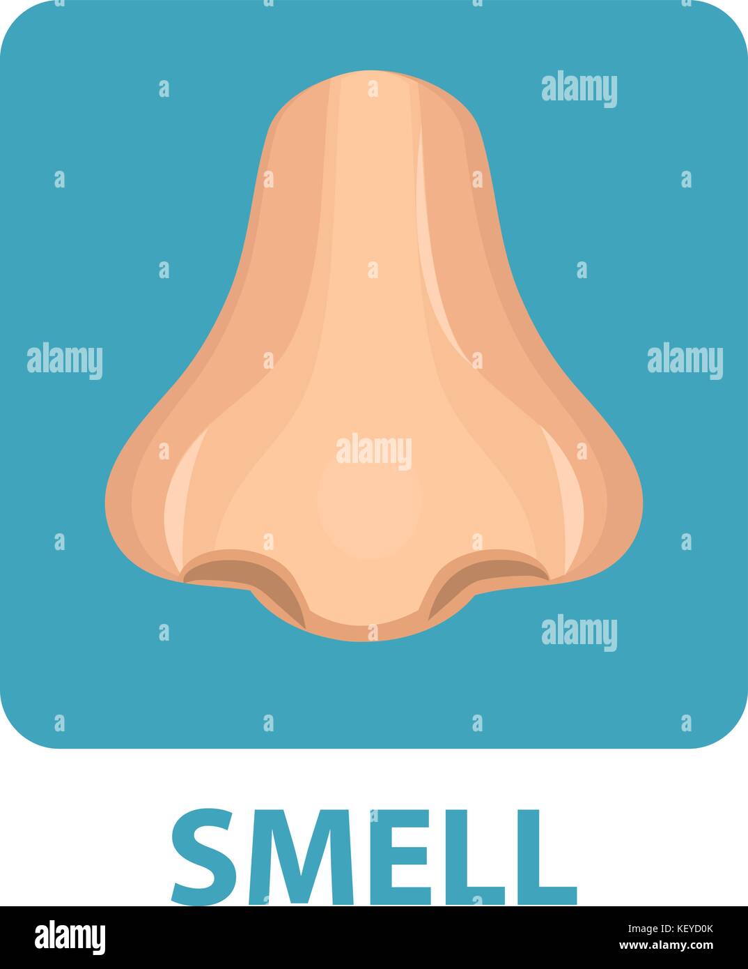 Smell Sense