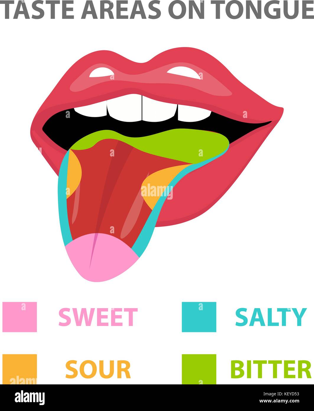 Sour sweet taste Stock Vector Images - Alamy