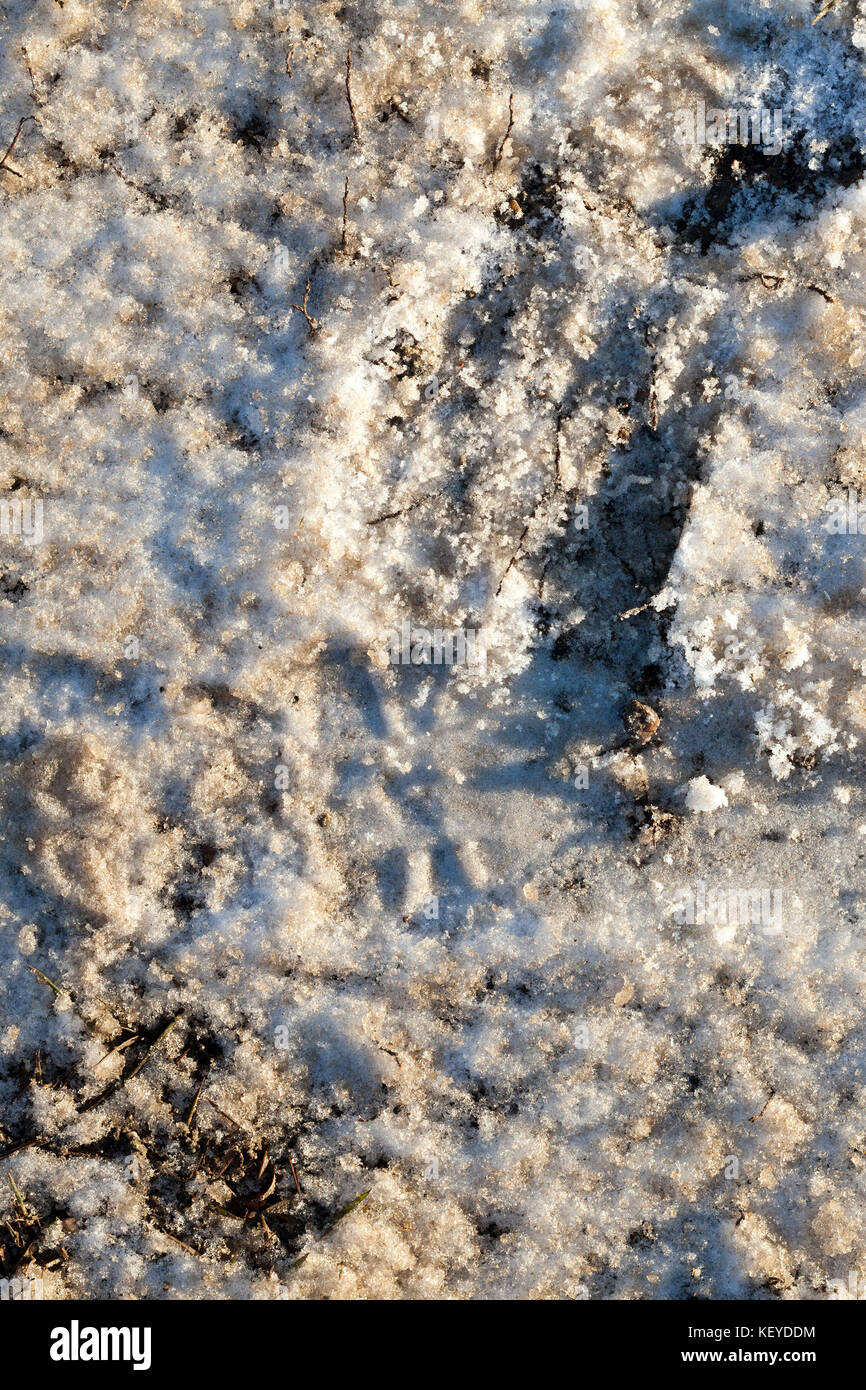 Dirty thunderstorm hi-res stock photography and images - Alamy