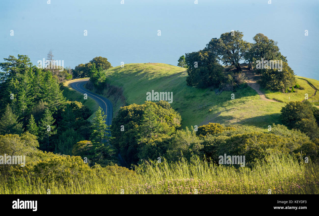 Mount Tamalpais State Park High Resolution Stock Photography and Images ...