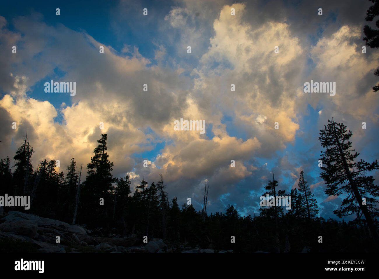 Clouds above the forest, Desolation Wilderness, California Stock Photo ...