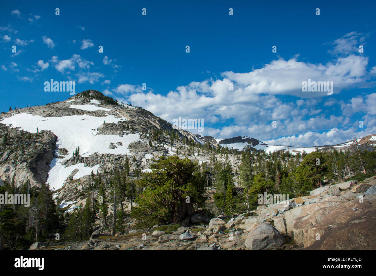 Desolation Wilderness, Lake Tahoe area, California Stock Photo - Alamy