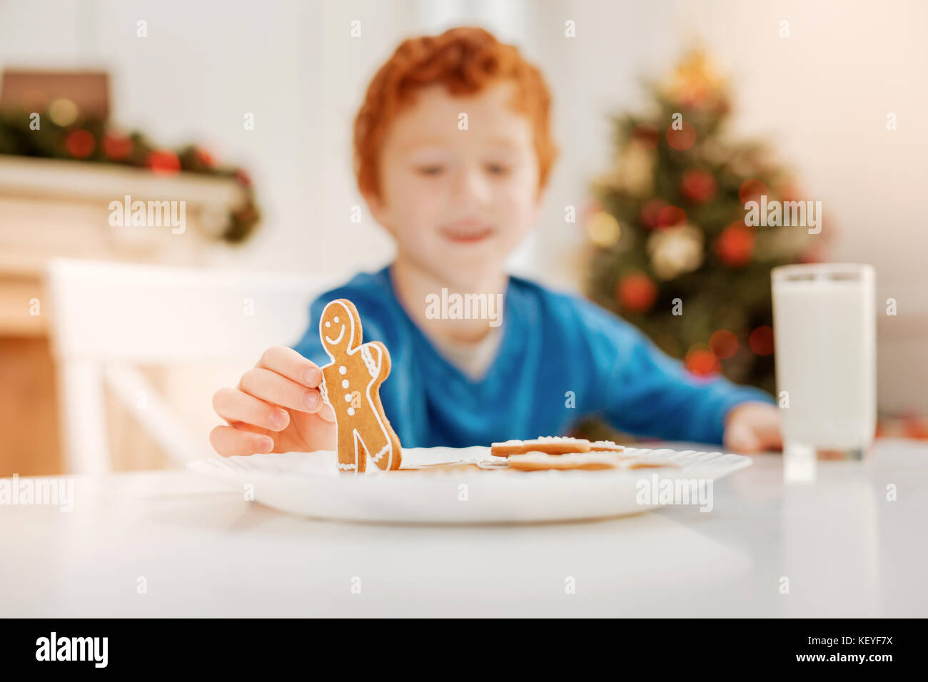 Joyful ginger boy playing with gingerbread man at table Stock Photo - Alamy