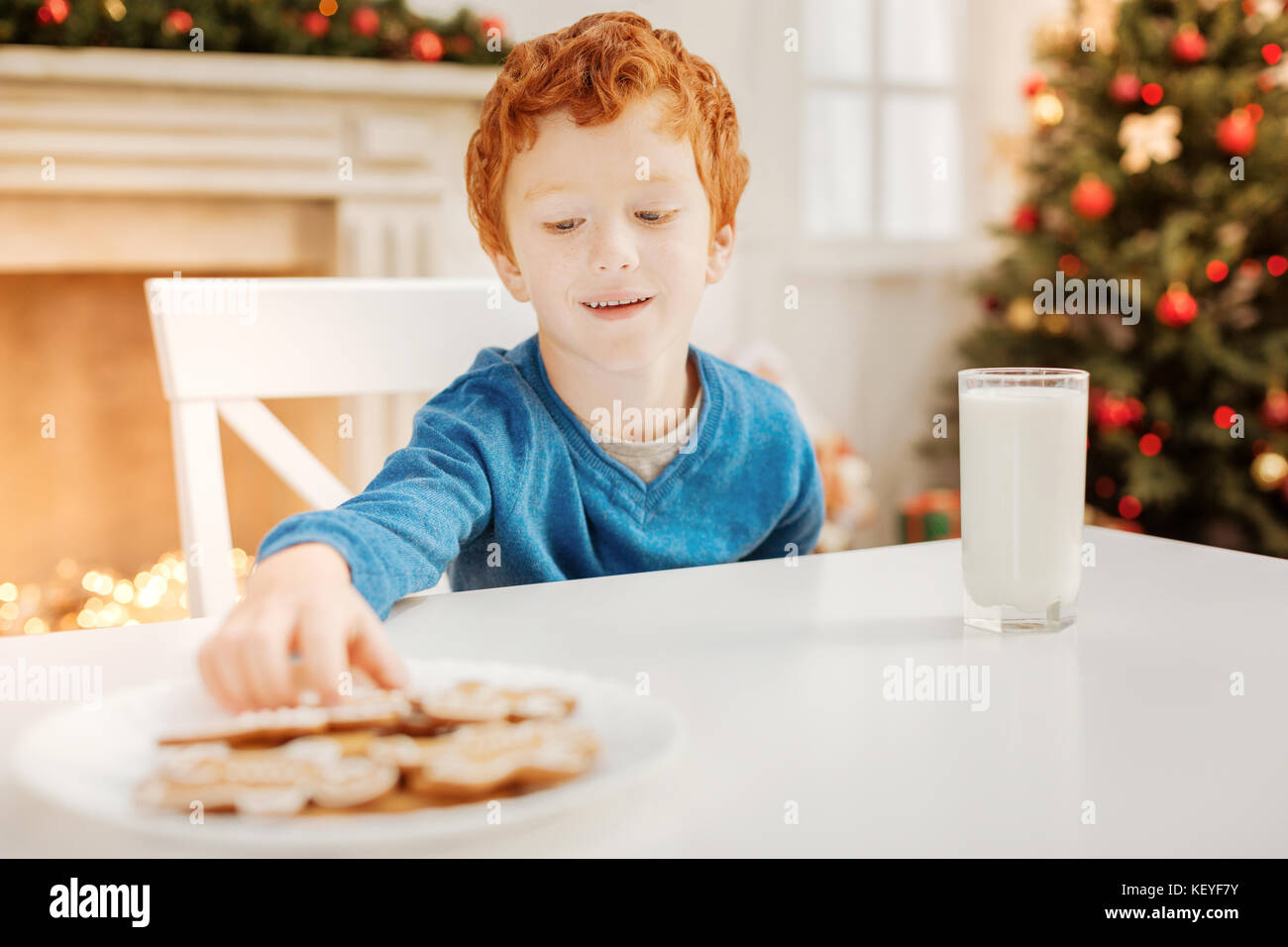 Relaxed child eating gingerbread man on christmas morning Stock Photo ...