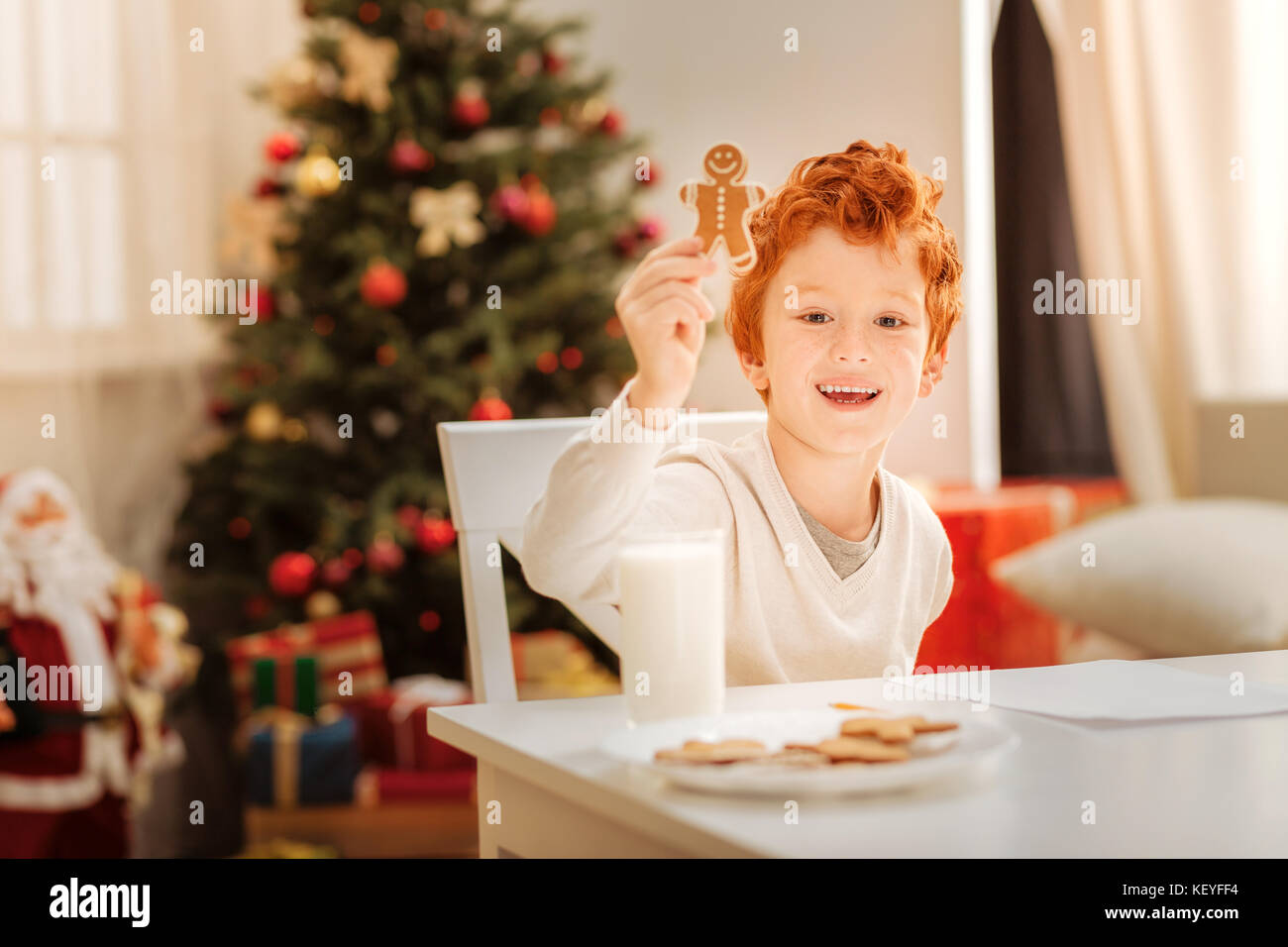 Extremely happy boy showing gingerbread man into camera Stock Photo - Alamy