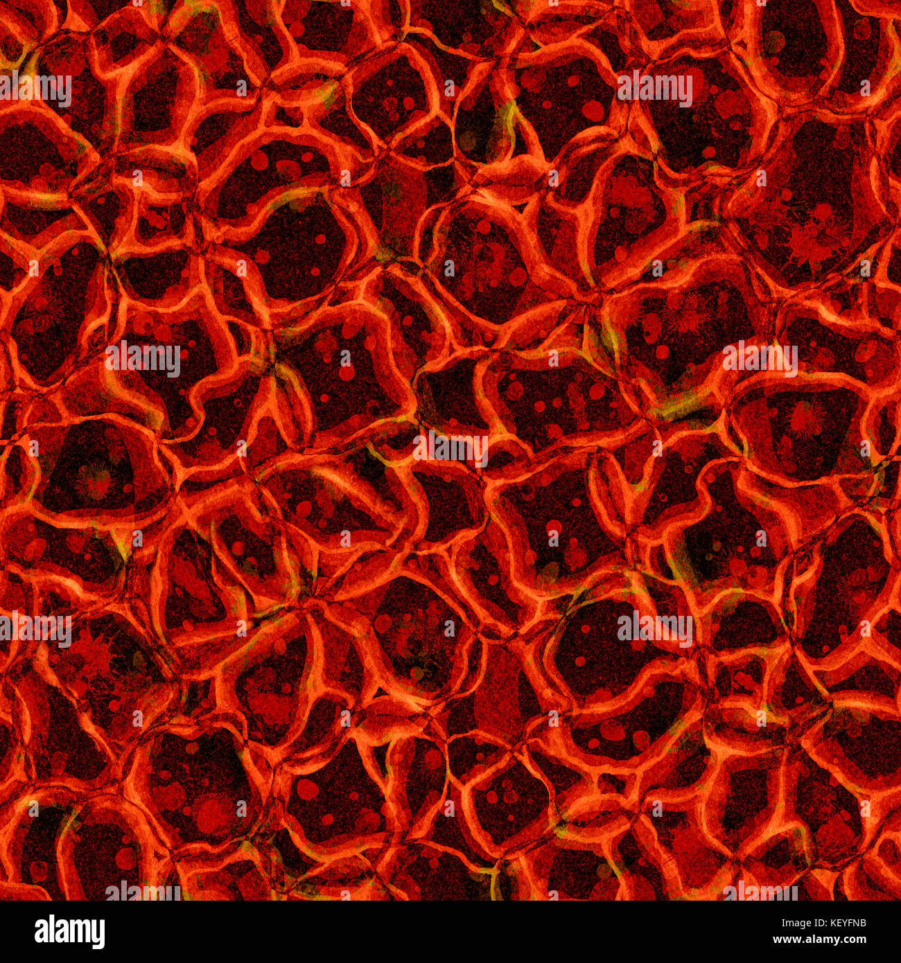 Red microorganisms or blood cells illustration that tiles seamlessly as ...