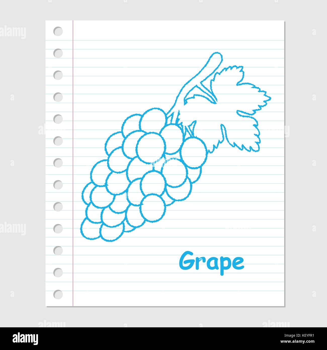 Illustration of Grape Cartoon on paper sheet with lines, Margin and ...