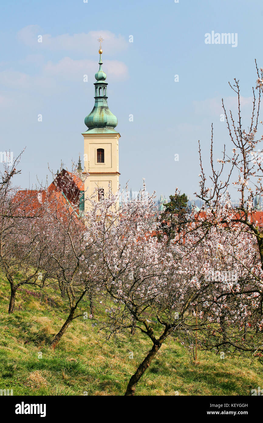 Spring at Prague, Czech Republic Stock Photo - Alamy