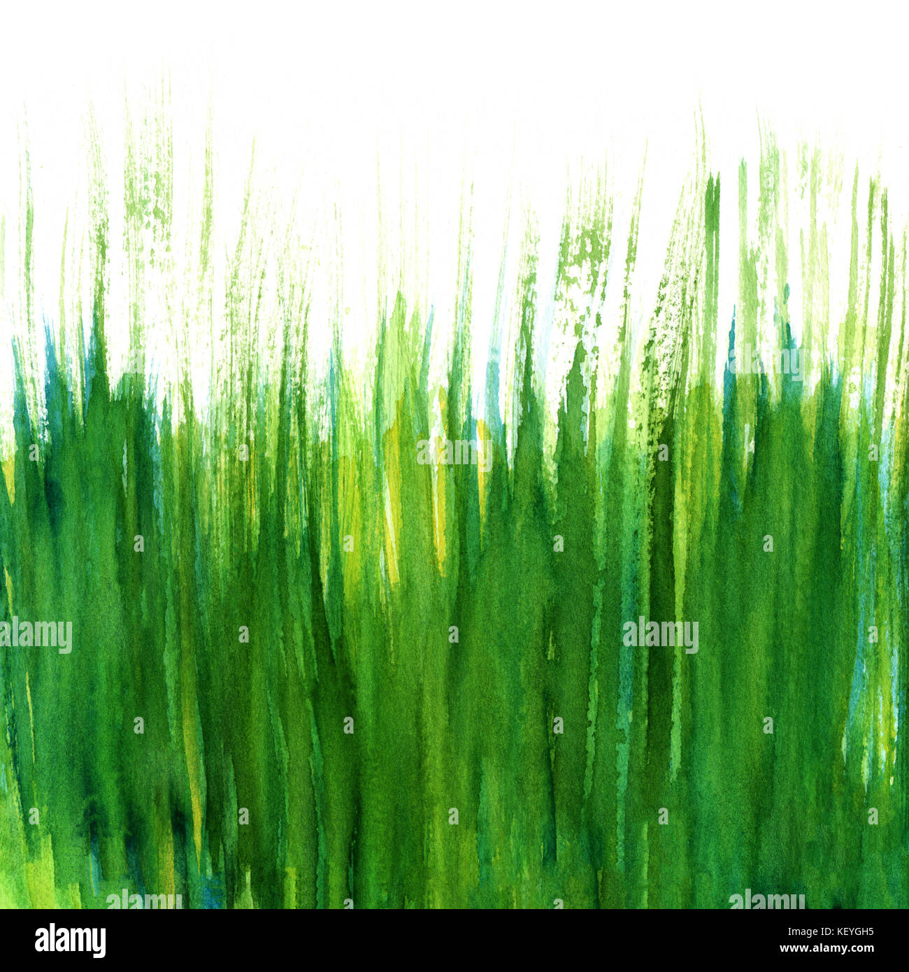 Vibrant watercolor green grass texture on white background Stock Photo ...