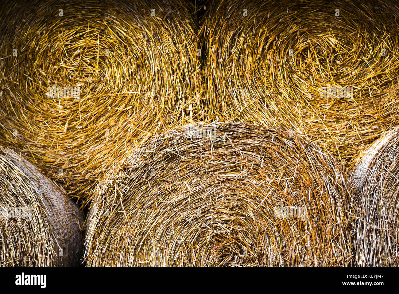 Snacks of hay lying on top of each other. Texture of hay Stock Photo ...