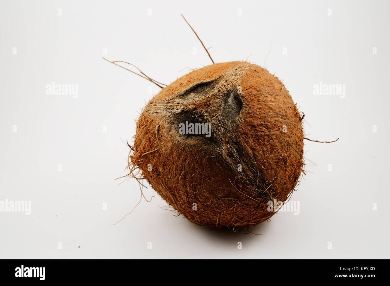 funny coconut look like a human face Stock Photo - Alamy