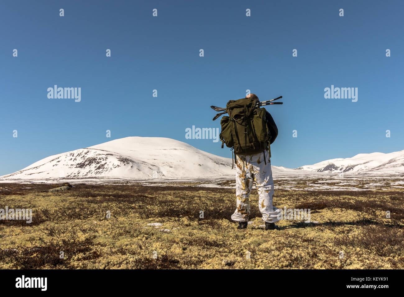 Hiker with big backpack walking in winter mountains in Dovre, Norway ...