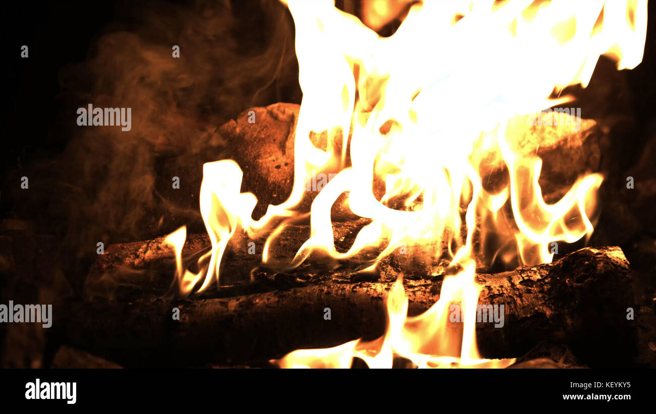 Burning wood in the fire. Camp fire in the night. Fire flames. Forest ...