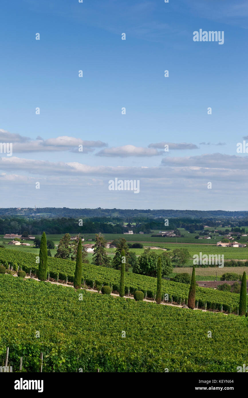 Landscape of vineyards and hills near Bordeaux France Stock Photo - Alamy