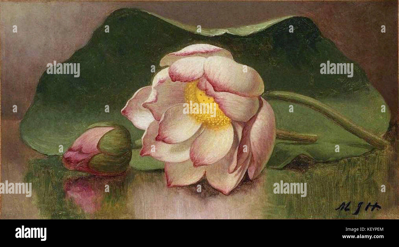 Martin Johnson Heade Lotus Blossom Stock Photo - Alamy