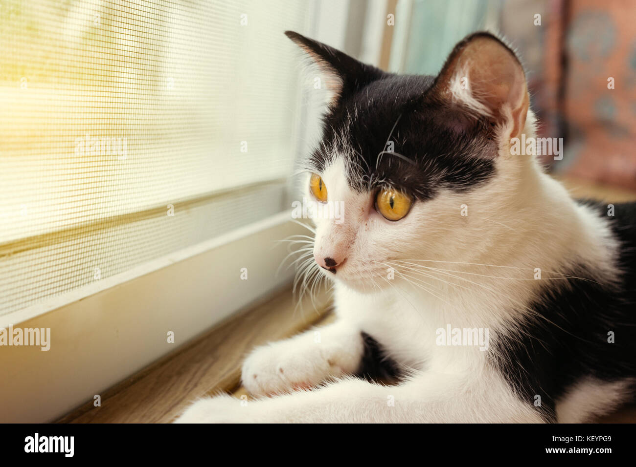Lonely wait waiting hi-res stock photography and images - Alamy