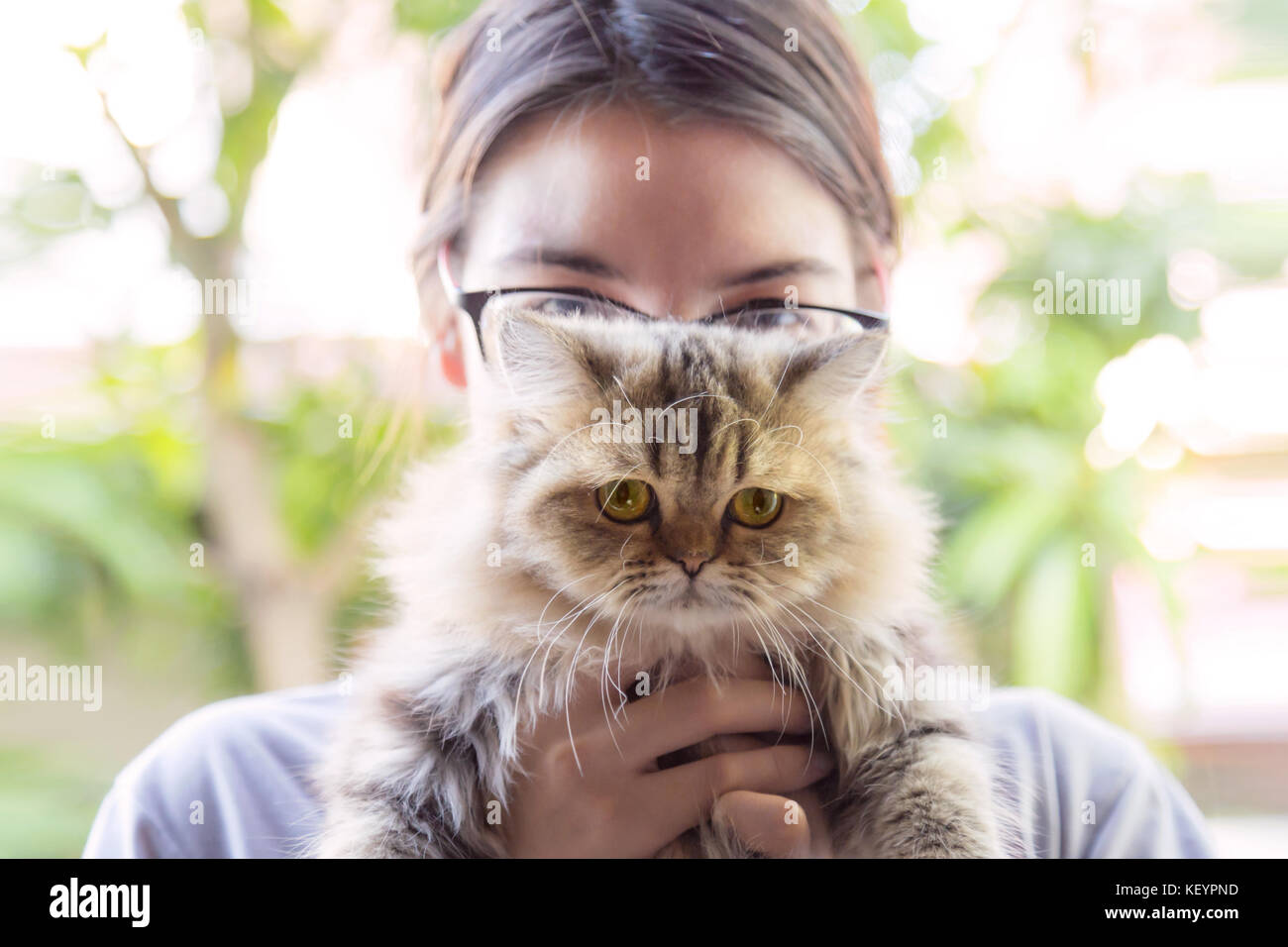 young woman holding cute Persian kitty cat in front of her in the ...